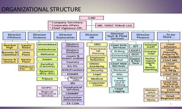 organization structure and hierarchy