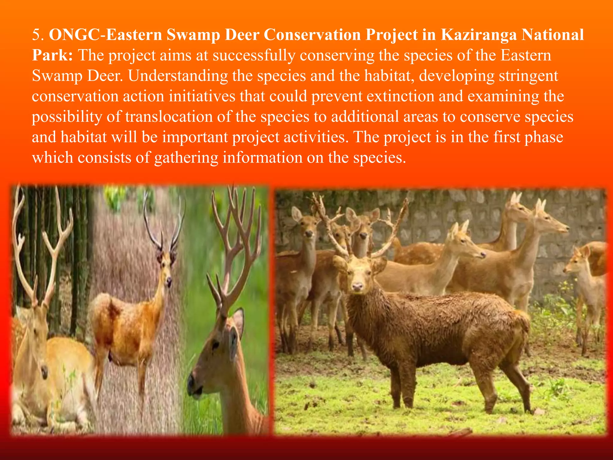 ONGC CSR ACTIVITY | PPTX