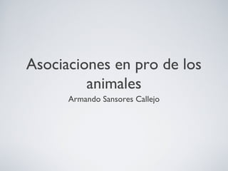 Ong's animales | PPT