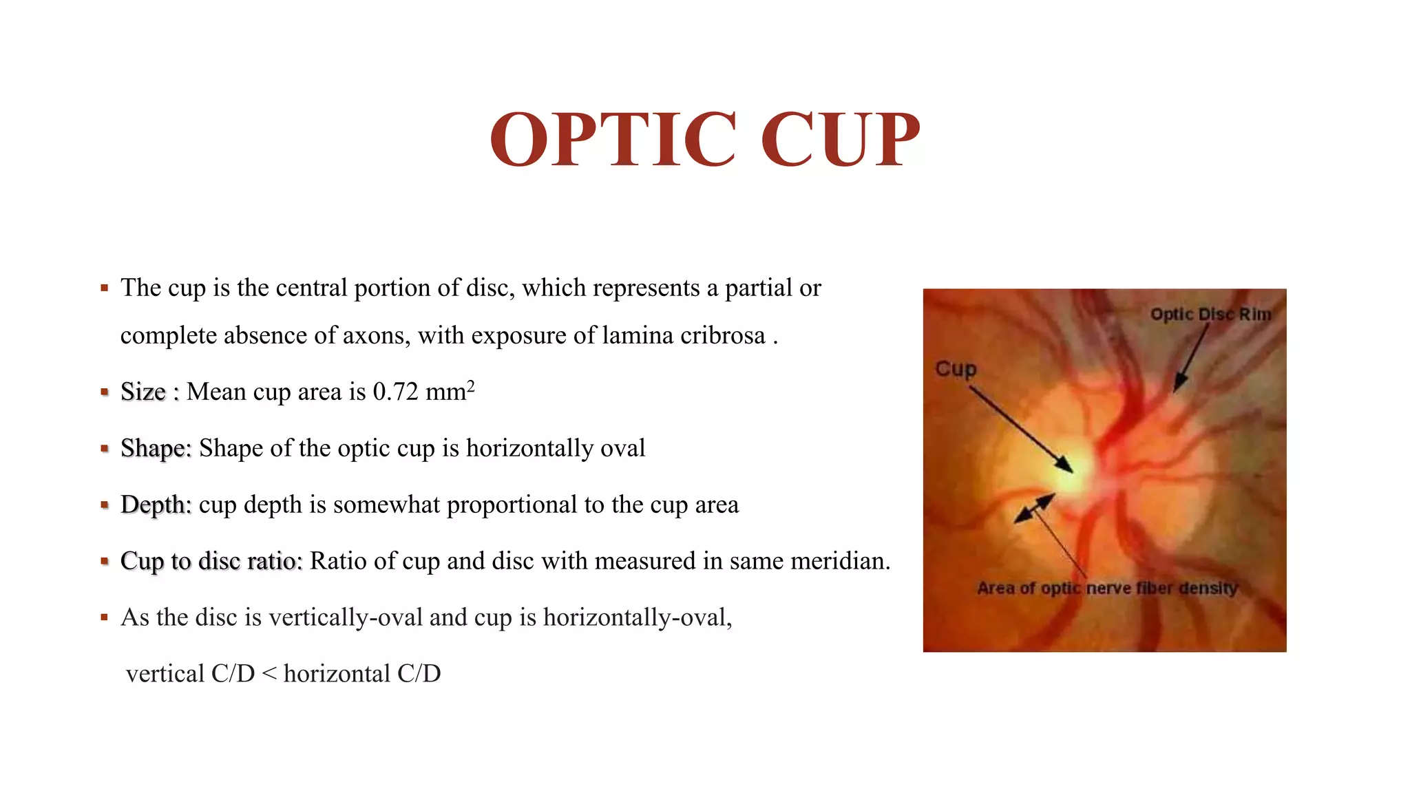 Optic Nerve Head Evaluation.pptx