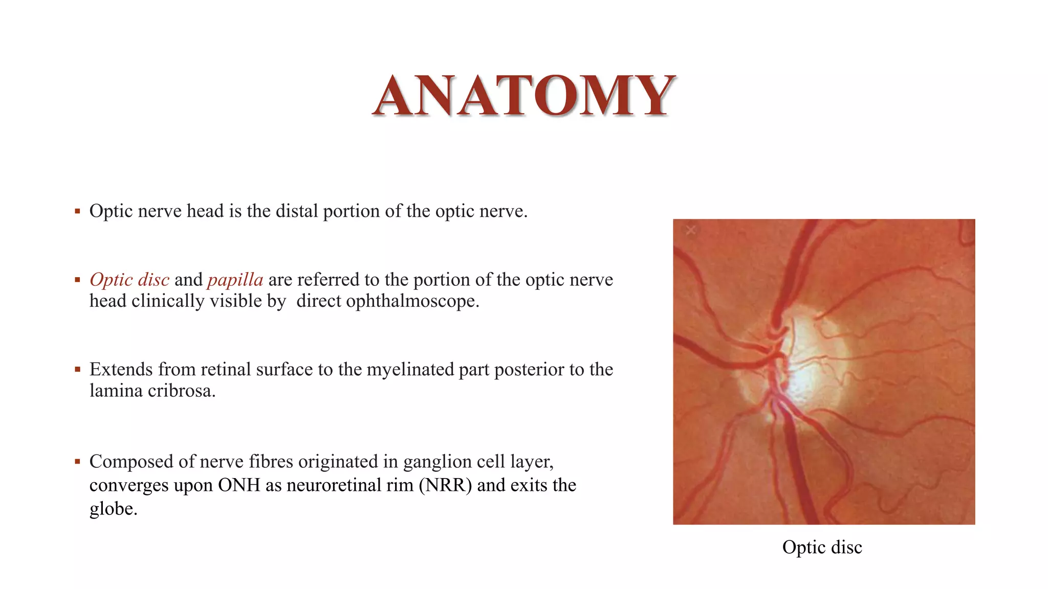 Optic Nerve Head Evaluation.pptx