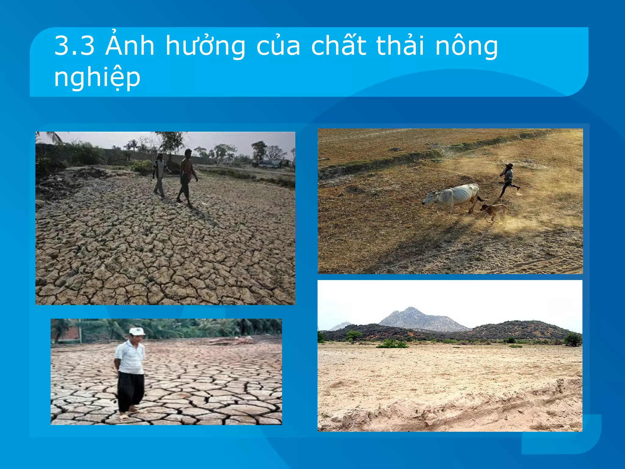 O nhiem moi truong dat | PPT