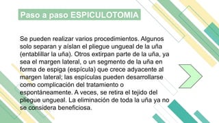 onicocriptosis o uña encarnada patología de uñas | PPTX