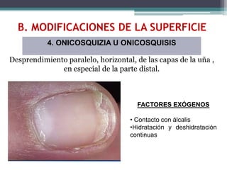 ONICOPATIAS.pptx
