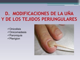 ONICOPATIAS.pptx