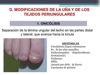 ONICOPATIAS.pptx
