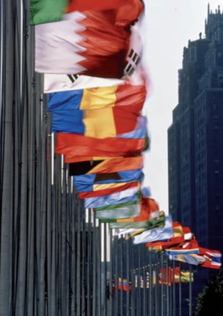 Vše o OSN – historie, struktura | PDF