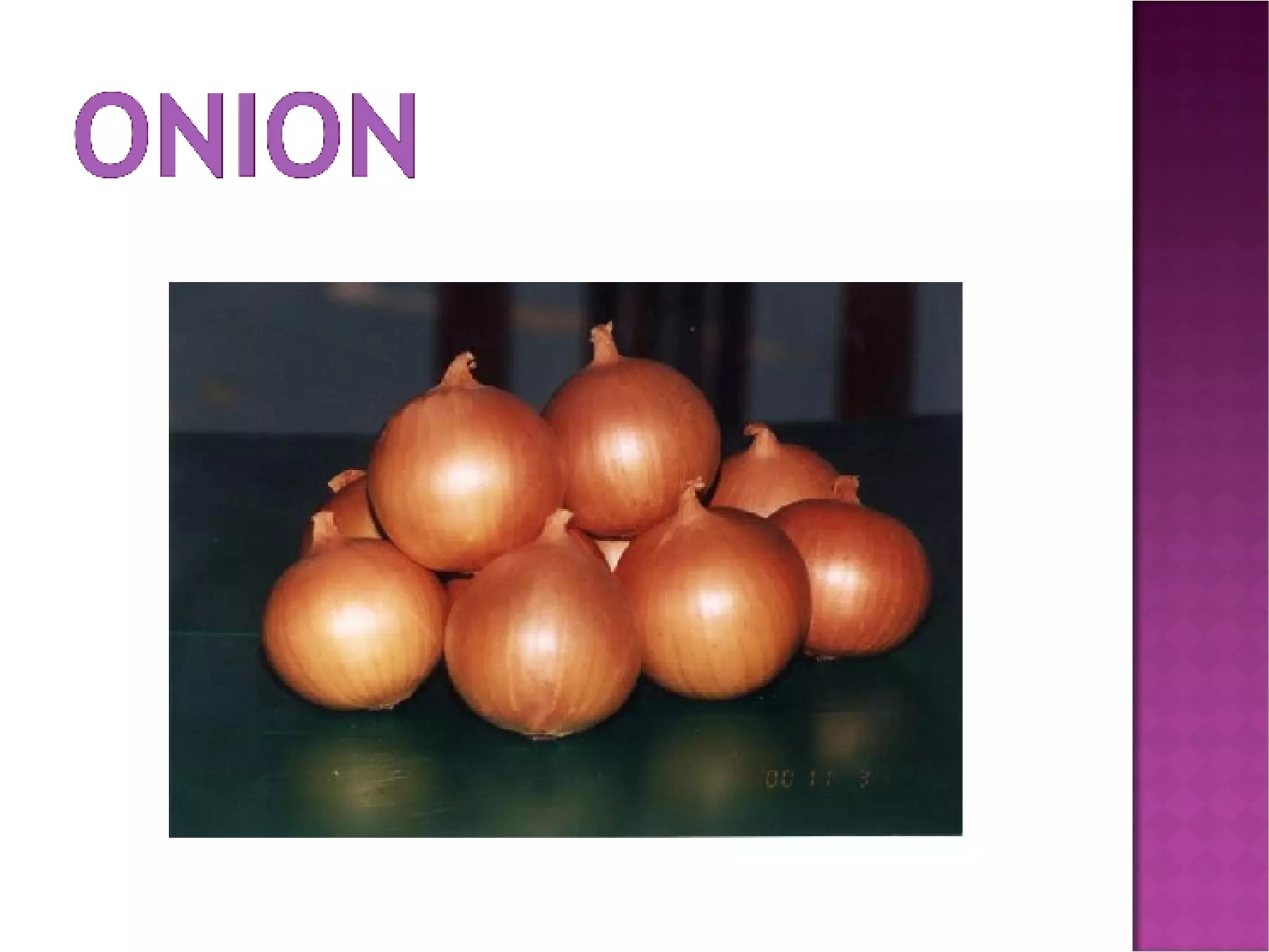 Onion | PPT