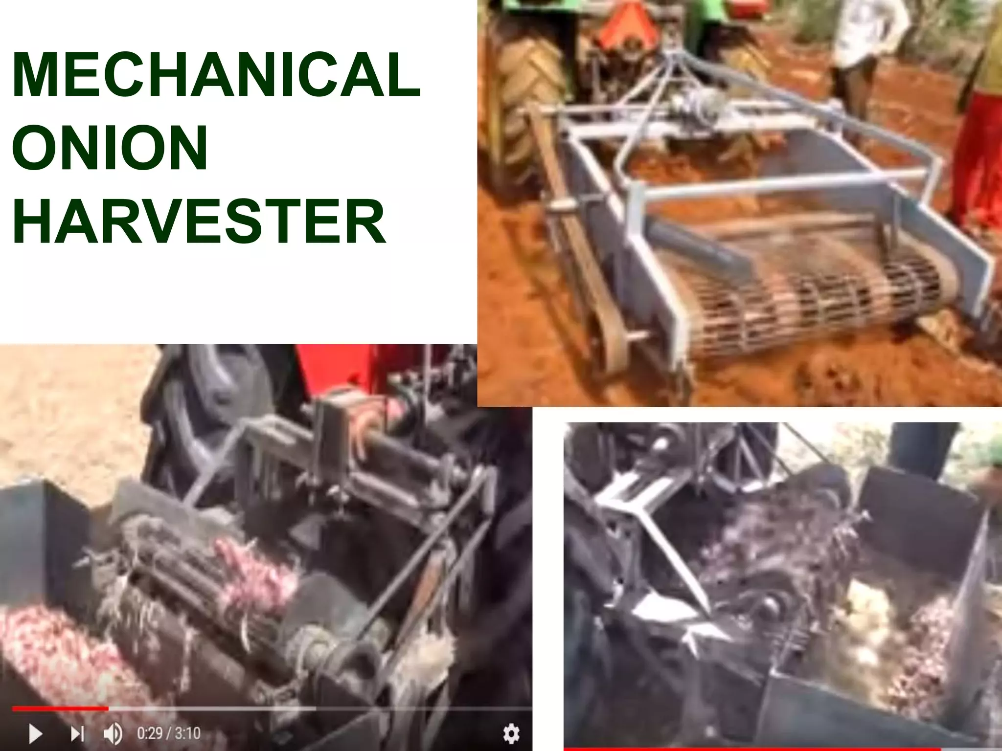 ONION STORAGE ENGINEERING AND TECHNOLOGY | PPTX