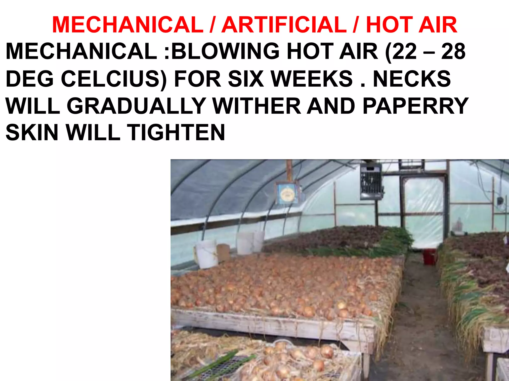 ONION STORAGE ENGINEERING AND TECHNOLOGY | PPTX