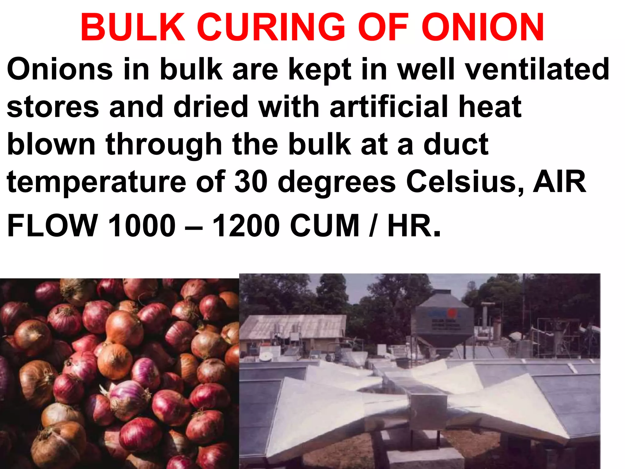 ONION STORAGE ENGINEERING AND TECHNOLOGY | PPTX