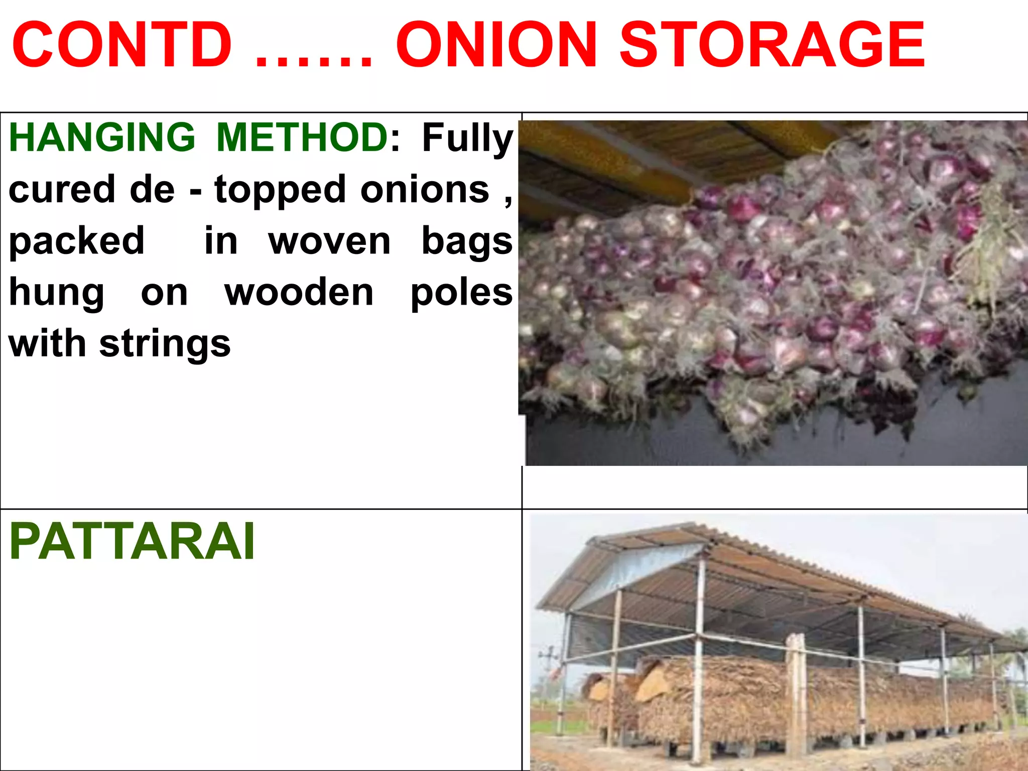 ONION STORAGE ENGINEERING AND TECHNOLOGY | PPTX