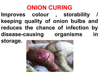 ONION STORAGE ENGINEERING AND TECHNOLOGY | PPTX