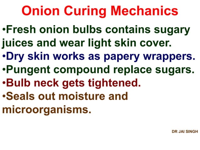 ONION STORAGE ENGINEERING AND TECHNOLOGY | PPTX | Agriculture | Industries