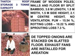 ONION STORAGE ENGINEERING AND TECHNOLOGY | PPTX