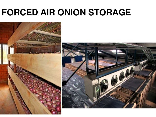 ONION STORAGE ENGINEERING AND TECHNOLOGY