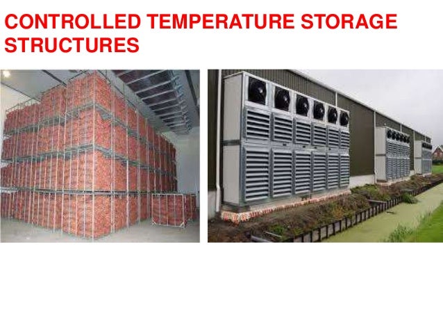 ONION STORAGE ENGINEERING AND TECHNOLOGY