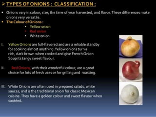 ONION HARVESTING AND STORAGE TECHNOLOGY | PPTX
