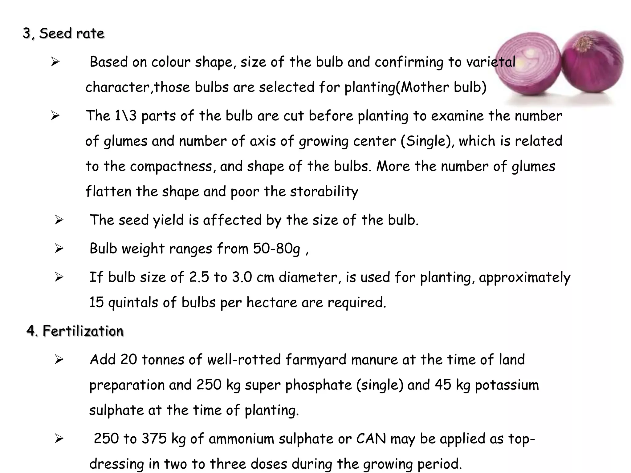 Advances in Onion Seed Production Technology. | PPTX
