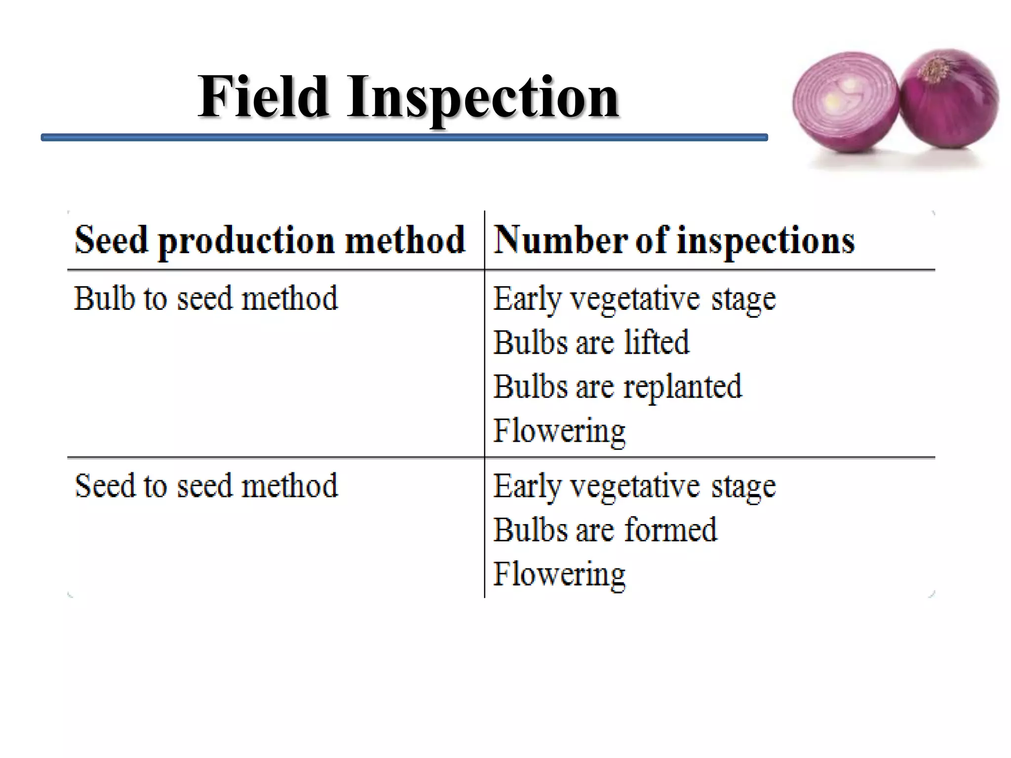 Advances in Onion Seed Production Technology. | PPTX