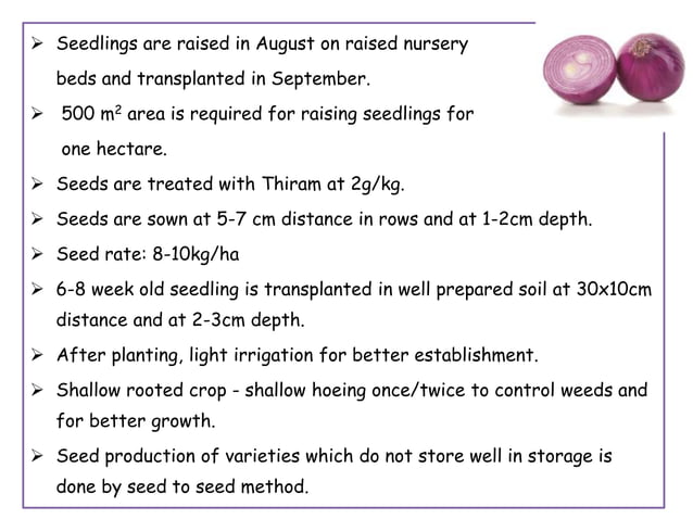 Advances in Onion Seed Production Technology. | PPTX | Agriculture ...