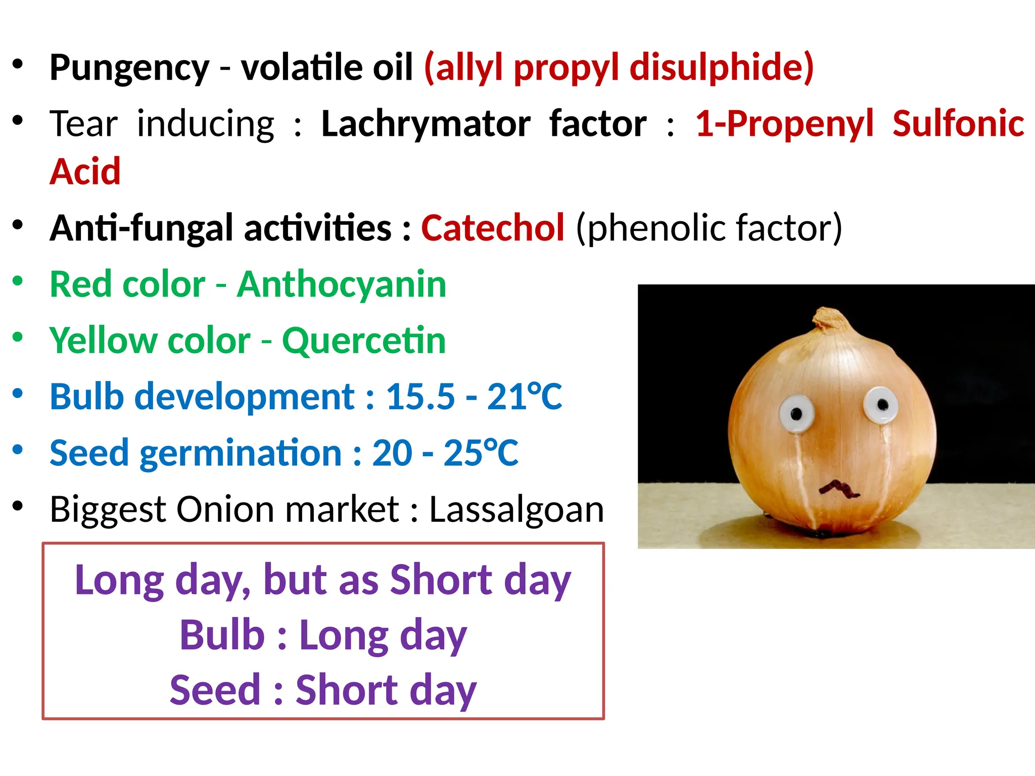 ONION production technology pptx for agriculture students | PPTX