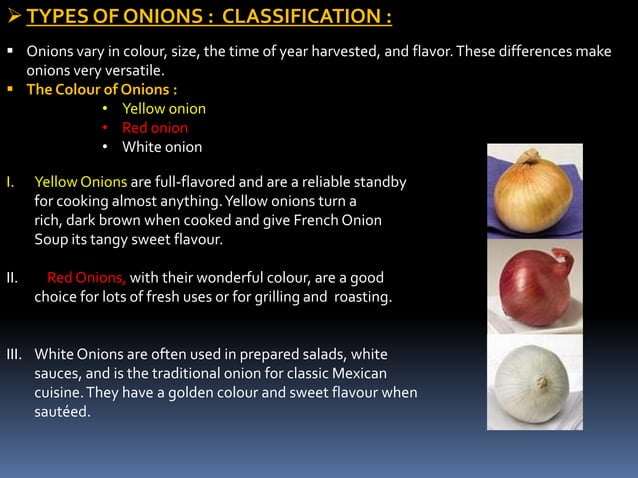 Onion | PPTX | Gardening | Home & Garden