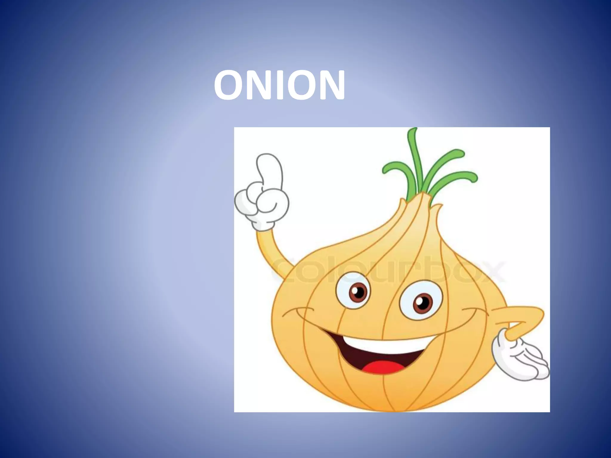 ONION PPT | PPTX