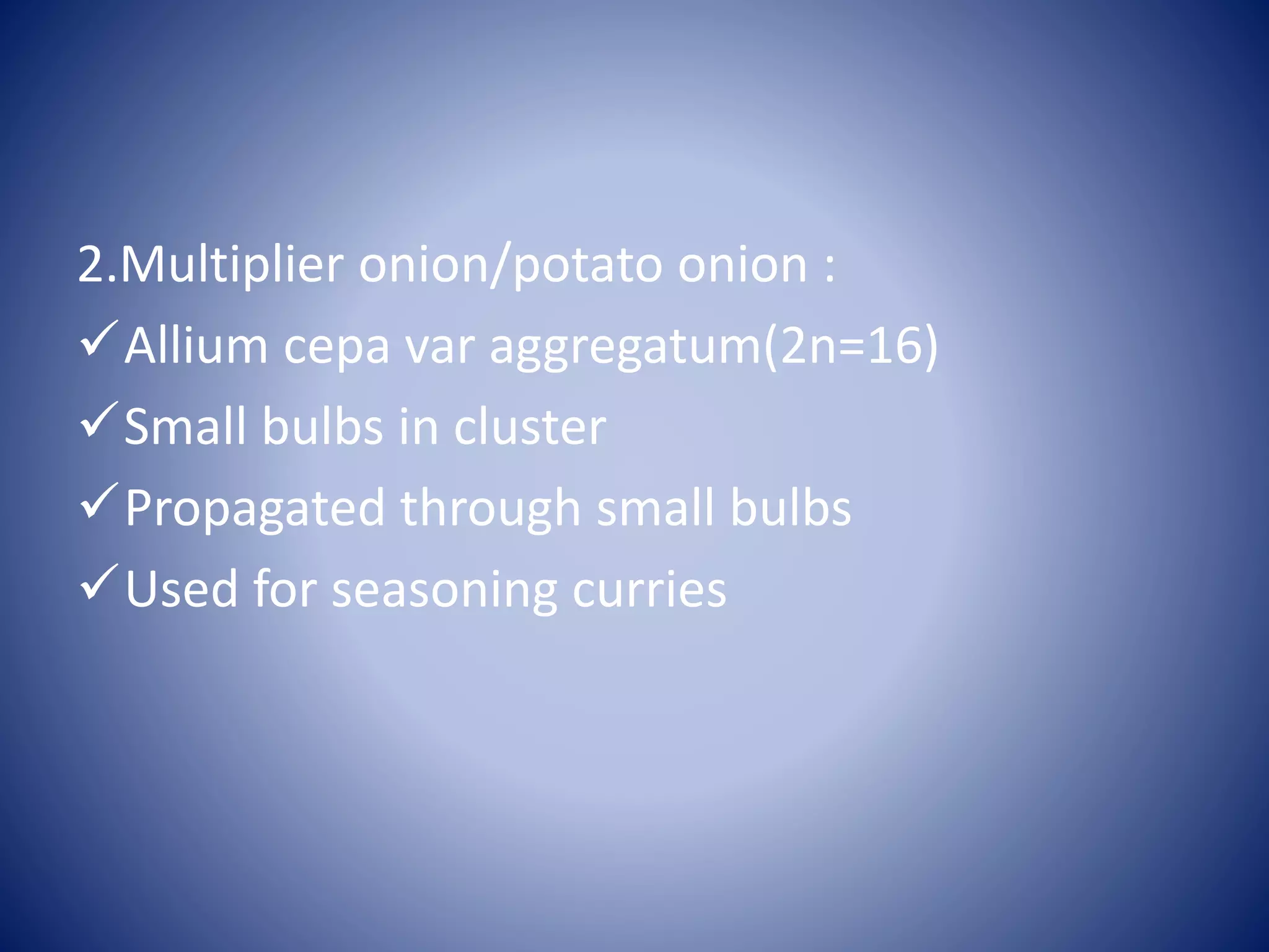 ONION PPT | PPTX