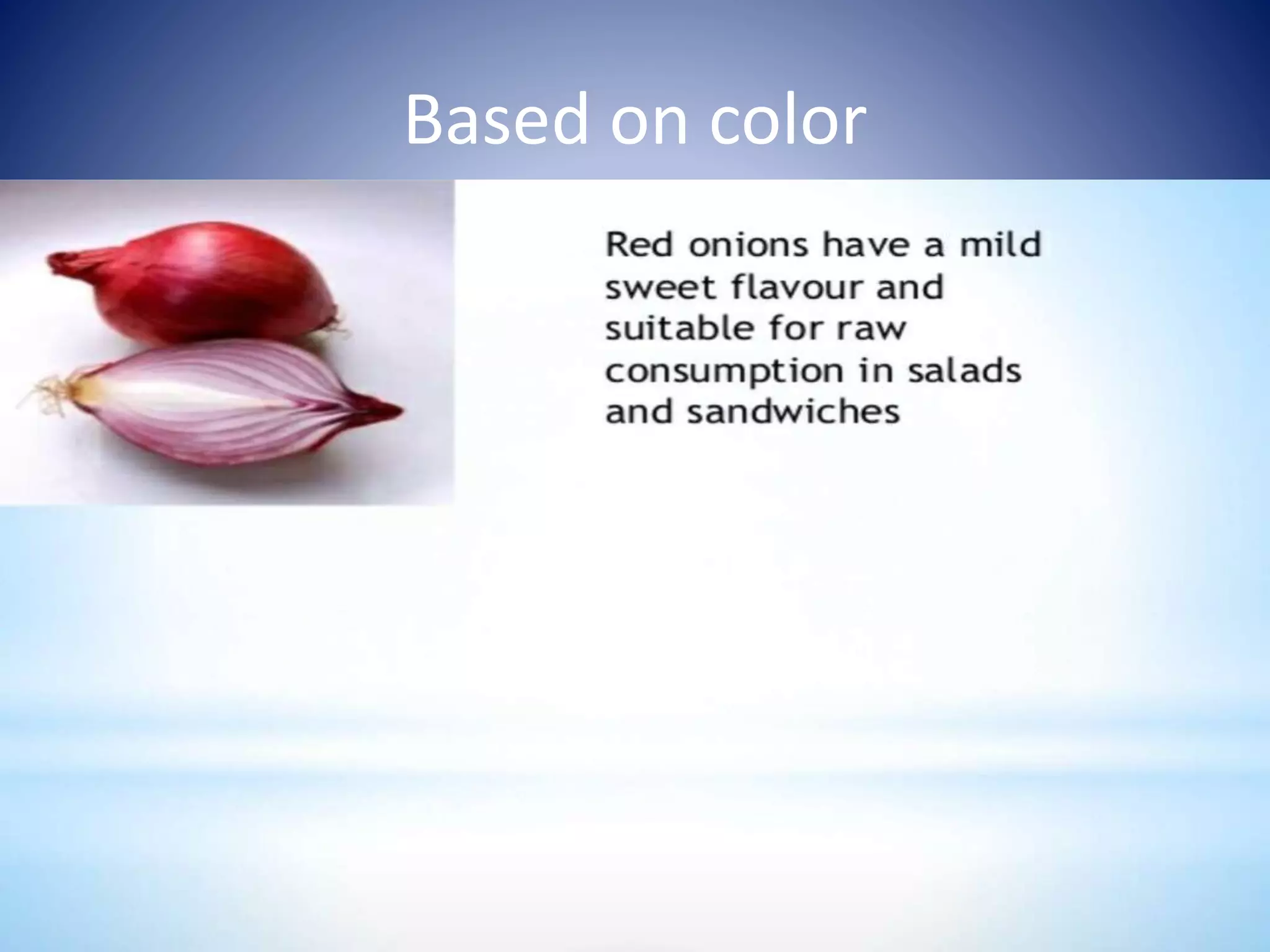 ONION PPT | PPTX