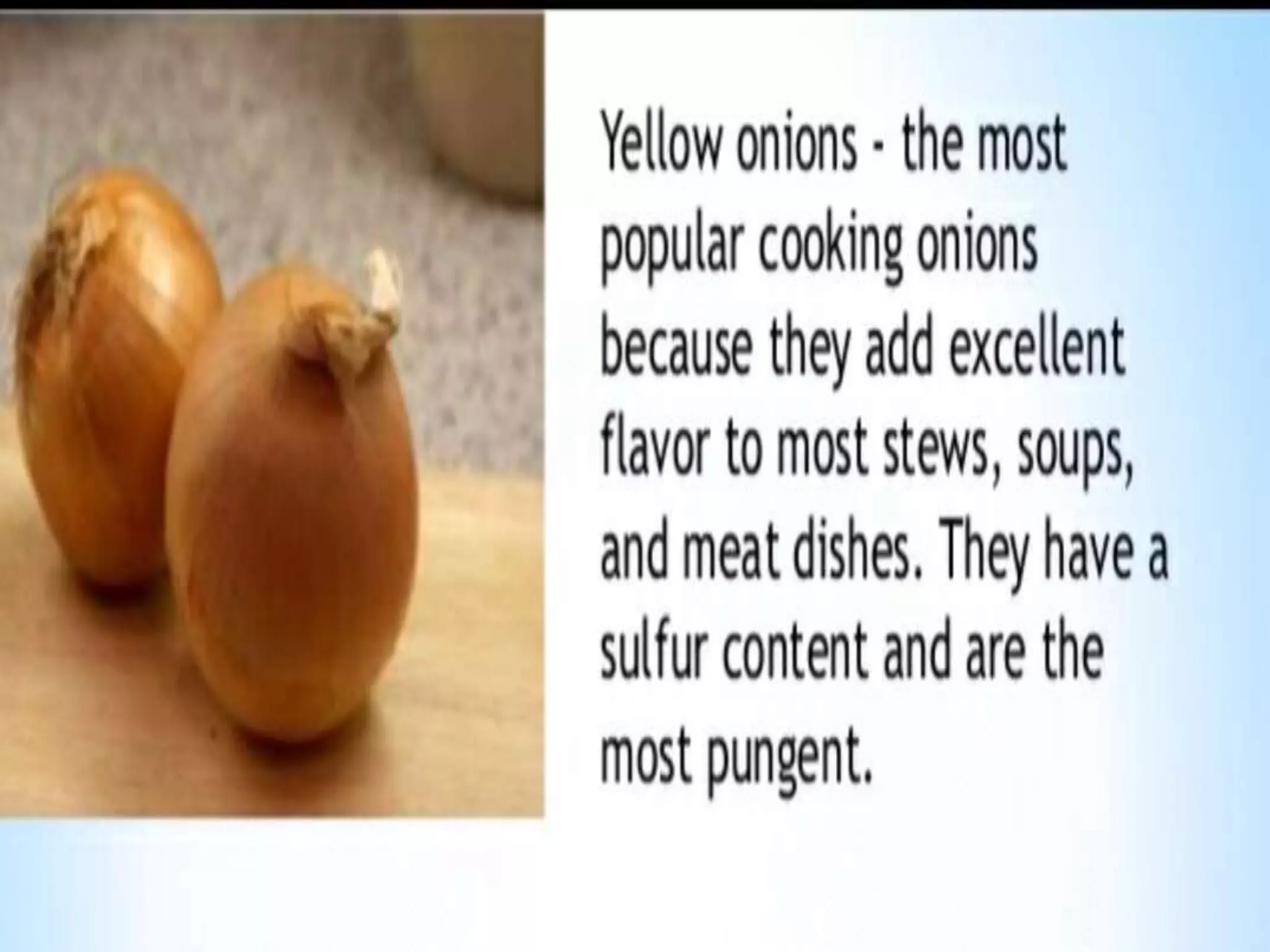 ONION PPT | PPTX