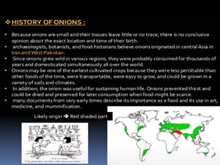 ONION PPT | PPTX
