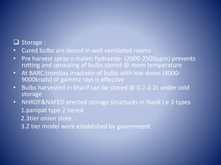 ONION PPT | PPTX