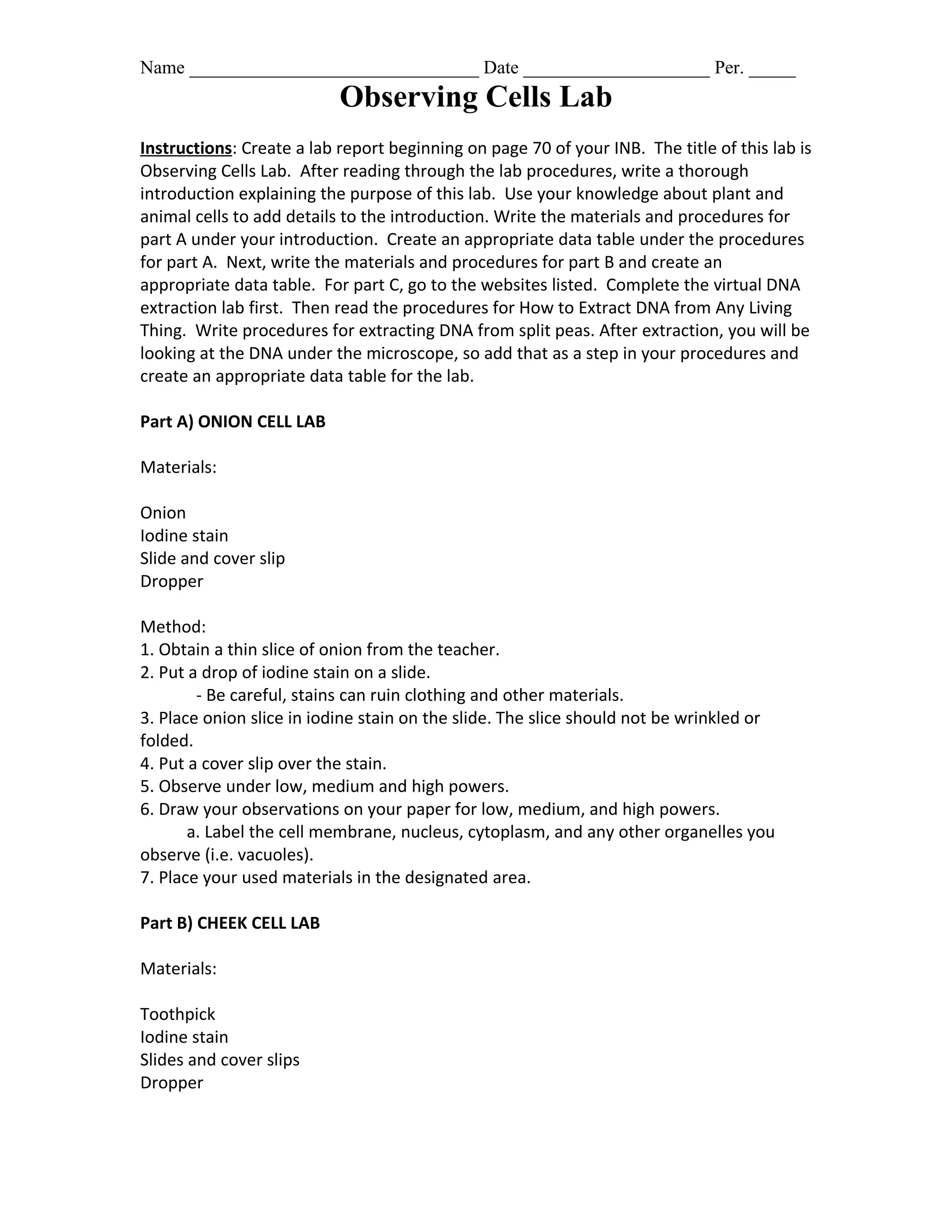 Onion and cheek cell, DNA extraction lab | DOC