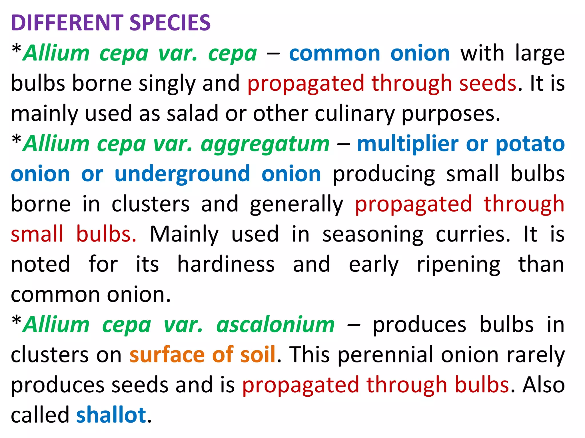 Onion and garlic | PPT
