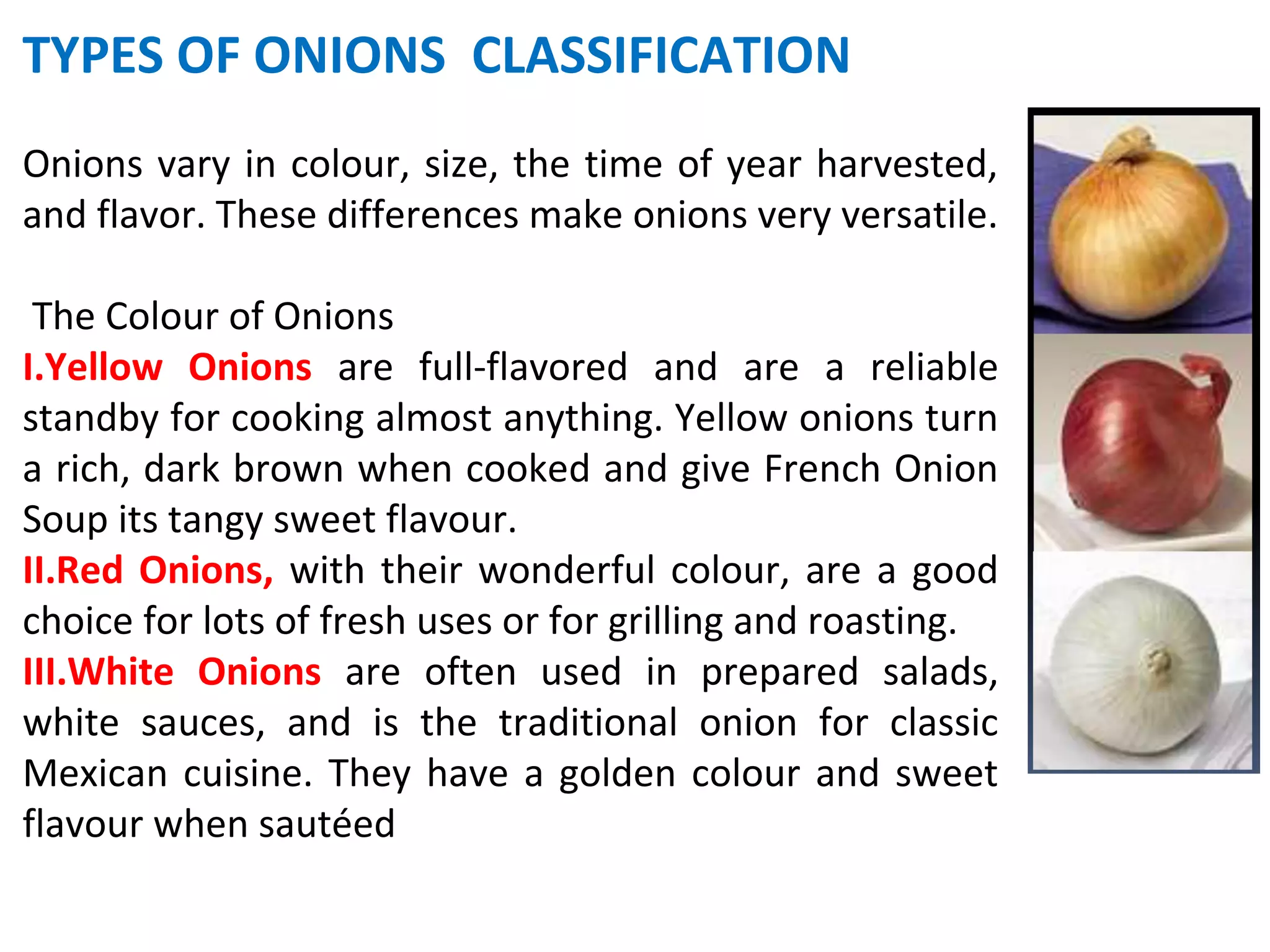 Onion and garlic | PPT
