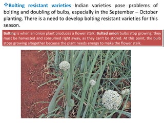 Onion and garlic | PPT