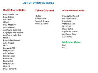 Onion and garlic | PPT
