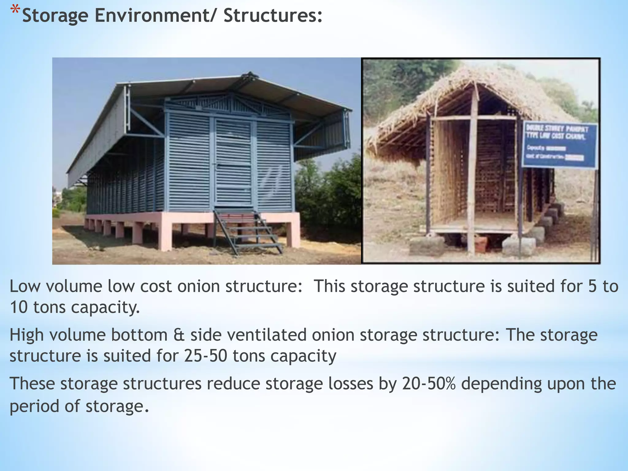 production technology of onion | PPTX
