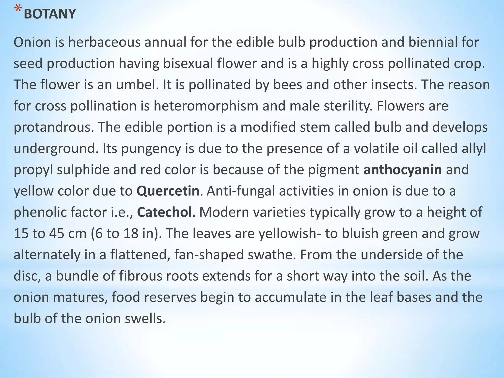 production technology of onion | PPTX