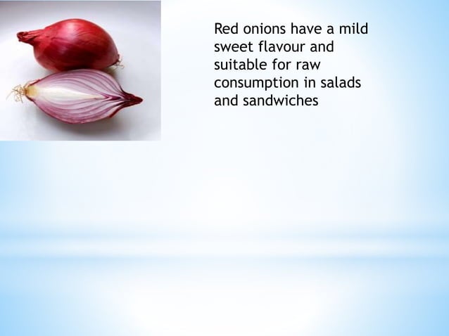 production technology of onion | PPTX