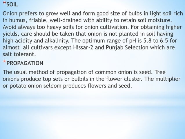 production technology of onion | PPTX
