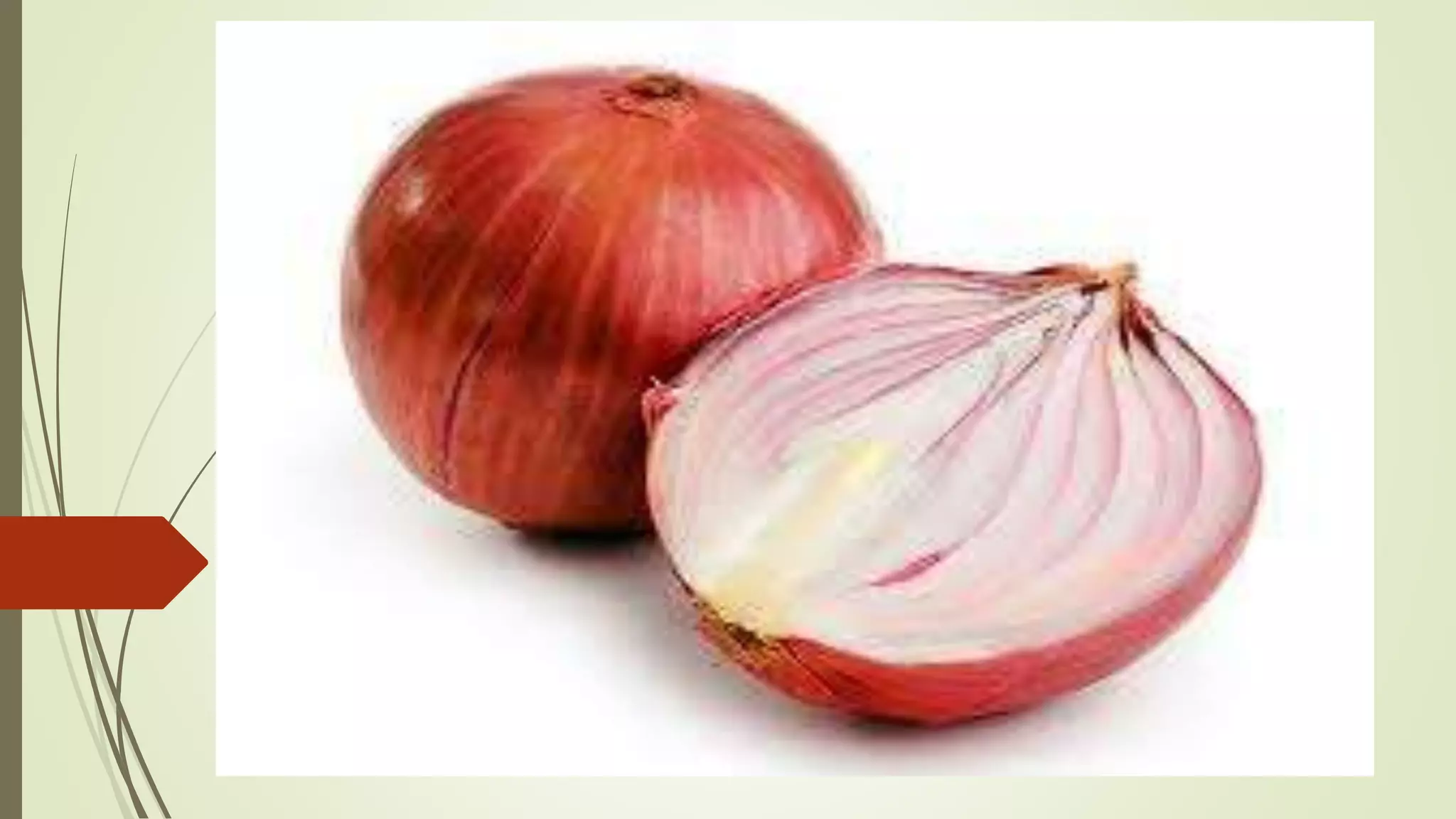 ONION Routing - Jovial learning | PPTX