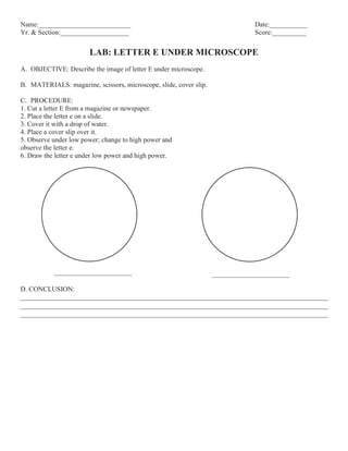 Onion Cell Experiment under the Microscope | DOCX
