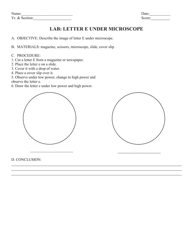 Onion Cell Experiment under the Microscope | DOCX | Biological Sciences ...