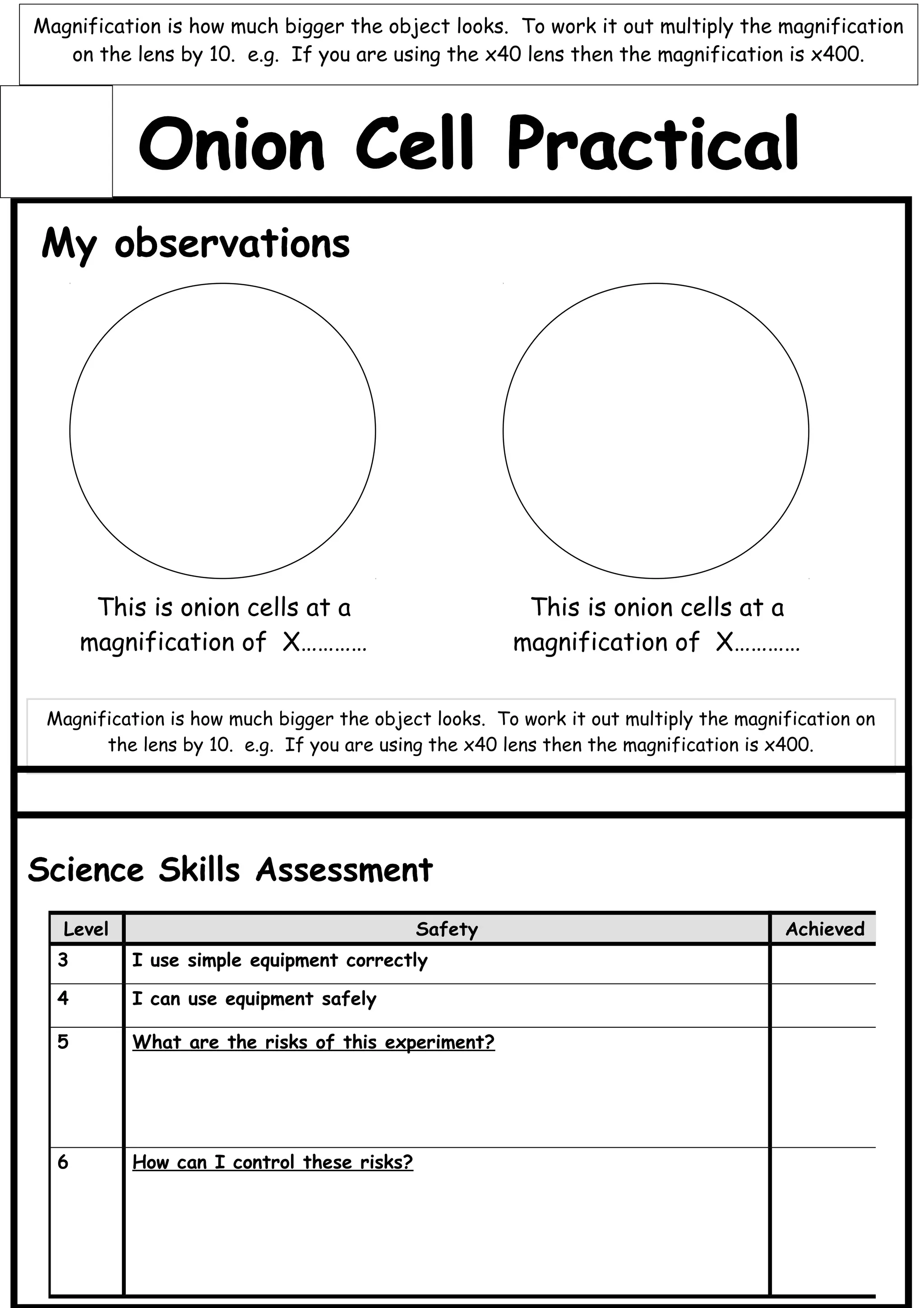 Onion cell practical worksheet | DOC