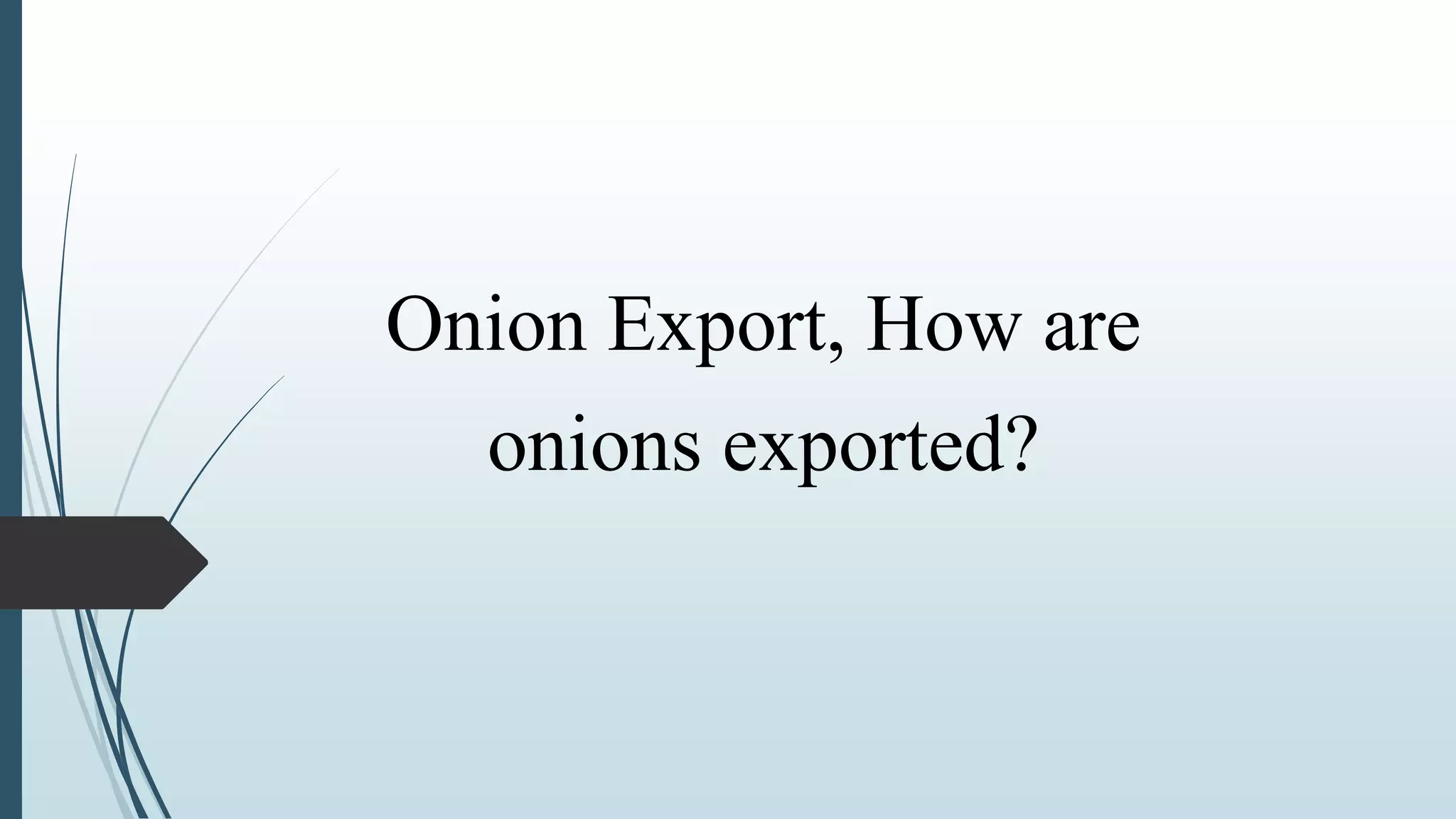 Onion Export How are onions exported.pdf