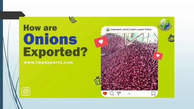 Onion Export How are onions exported.pdf