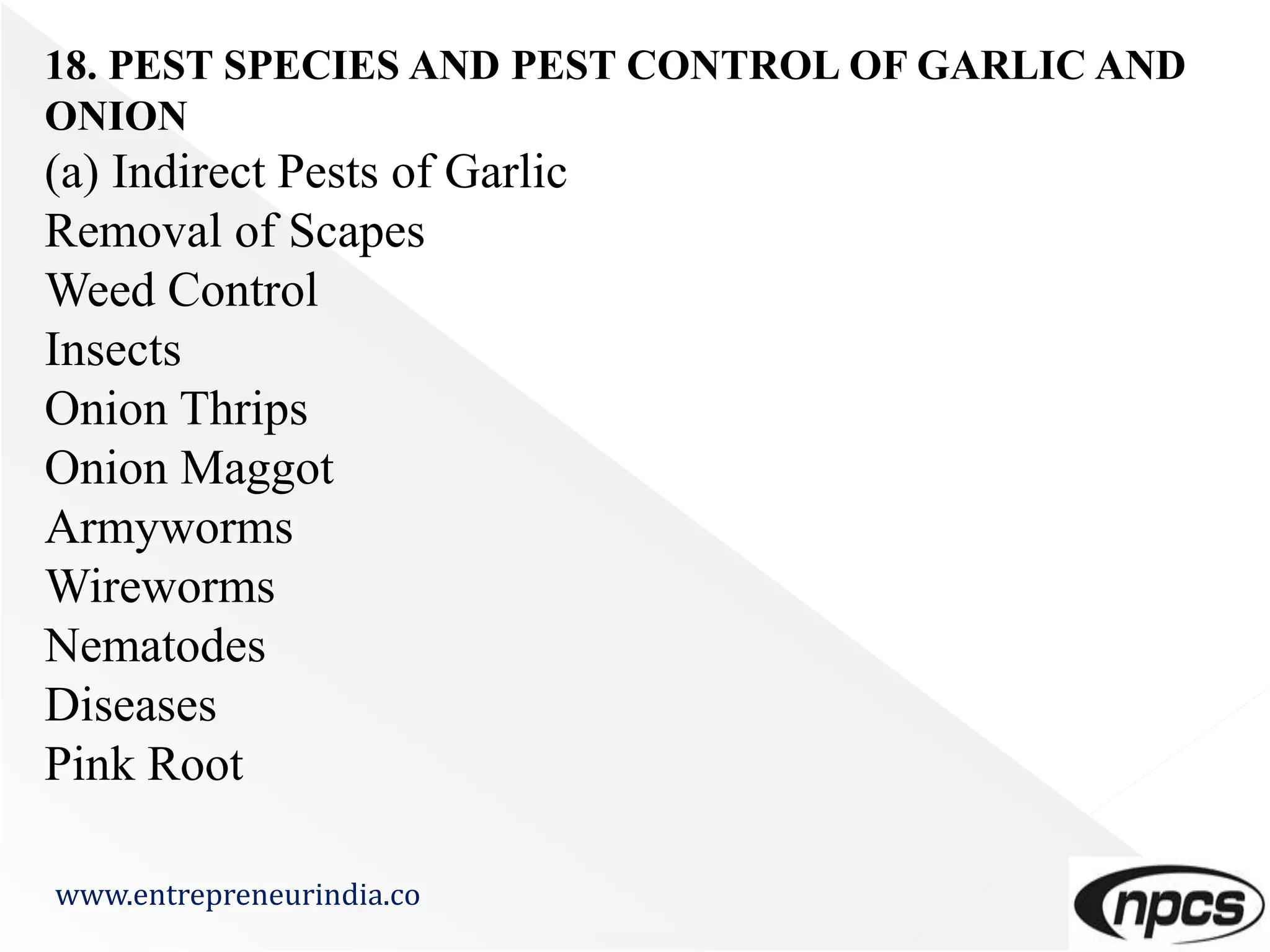Onion and Garlic Cultivation with Processing | PPTX