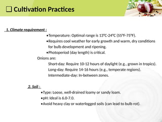 Presentation on onion crop in agriculture | PPTX